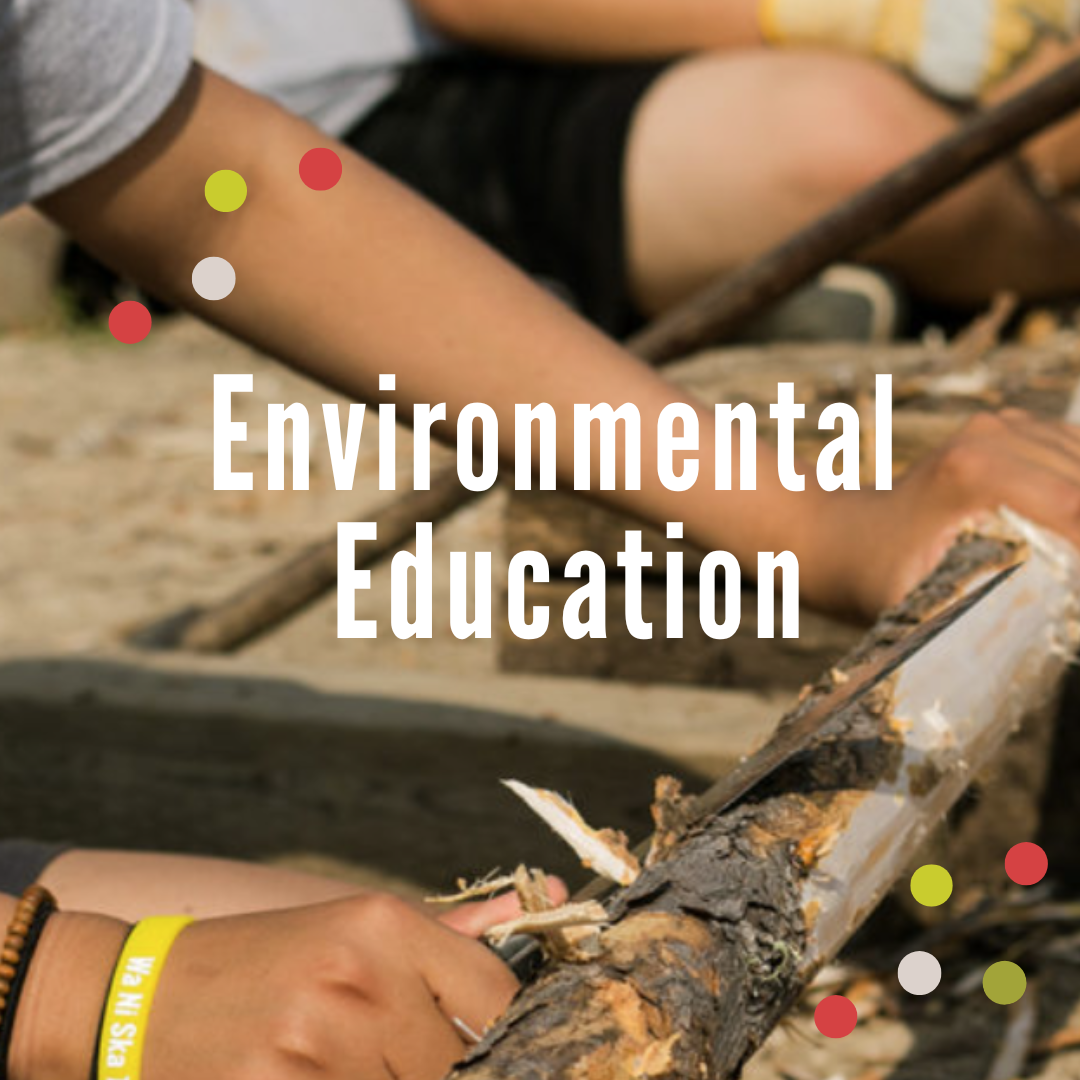 Publications - Environmental Conservation Lab